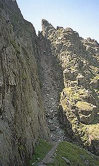 Lord's Rake - Photo